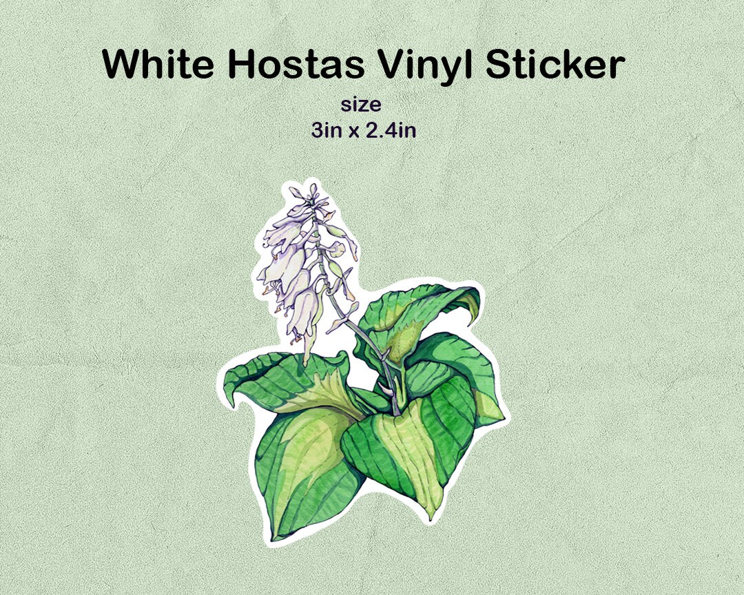 White Hosta Vinyl Sticker, Cottage Core Stickers for Laptop, Plant Mom ...