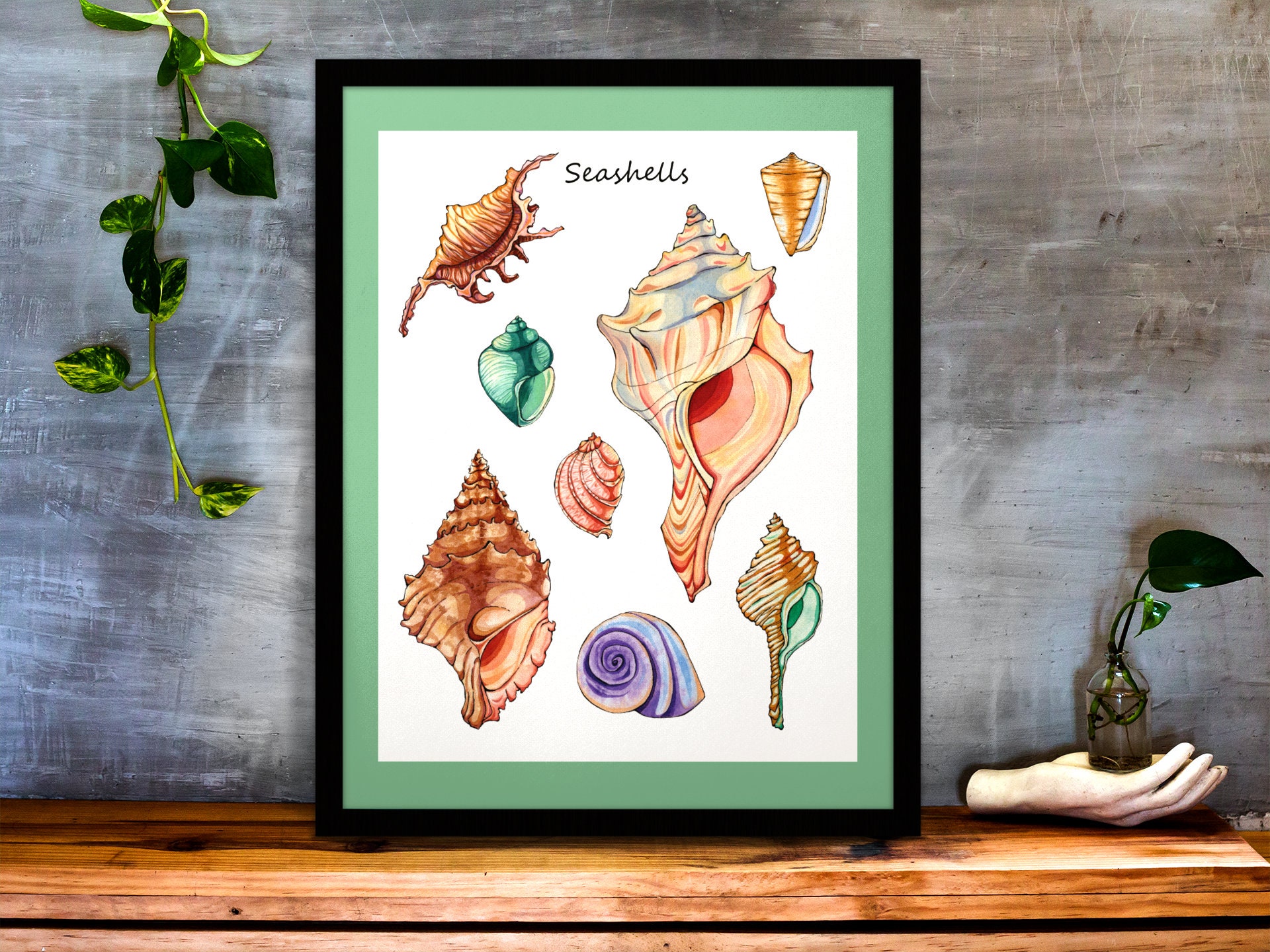 Watercolor Seashell Print, Conch Shell Art, Beachcomber Art, Beach ...
