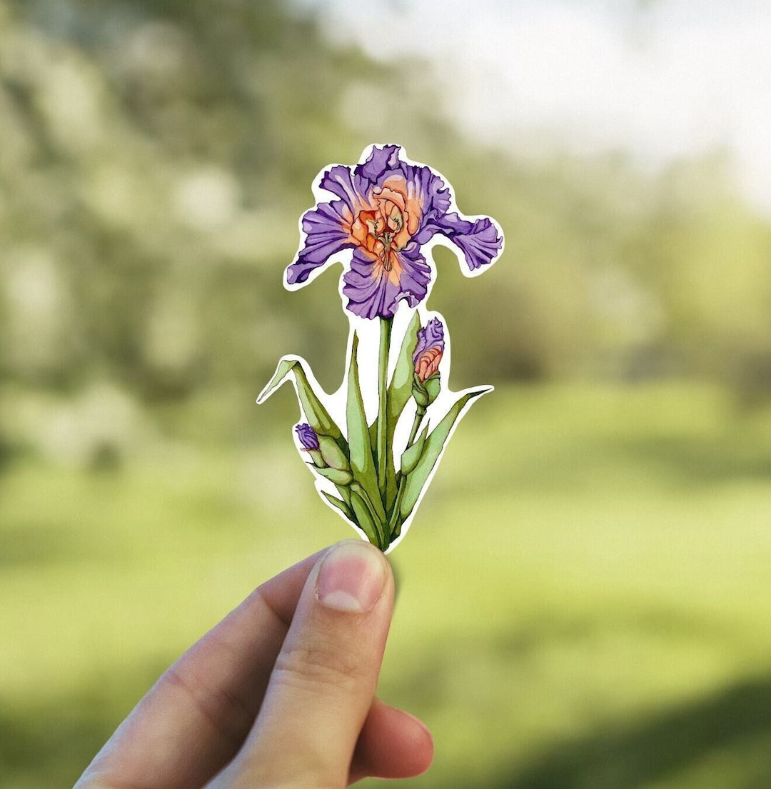 Purple Iris Vinyl Sticker, Cottage Core Stickers for Laptop, Plant Mom ...