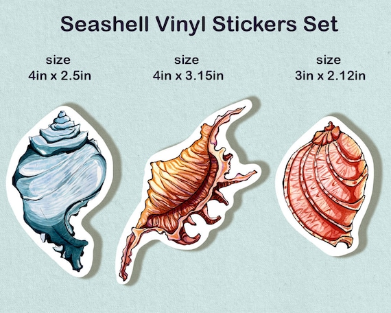 Seashell Art Vinyl Sticker Pack Set of 3 Waterproof Sticker - Etsy