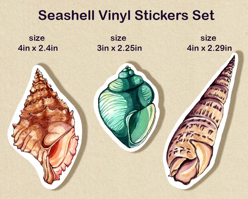 Seashell Art Vinyl Sticker Pack Set of 3 Waterproof Sticker - Etsy