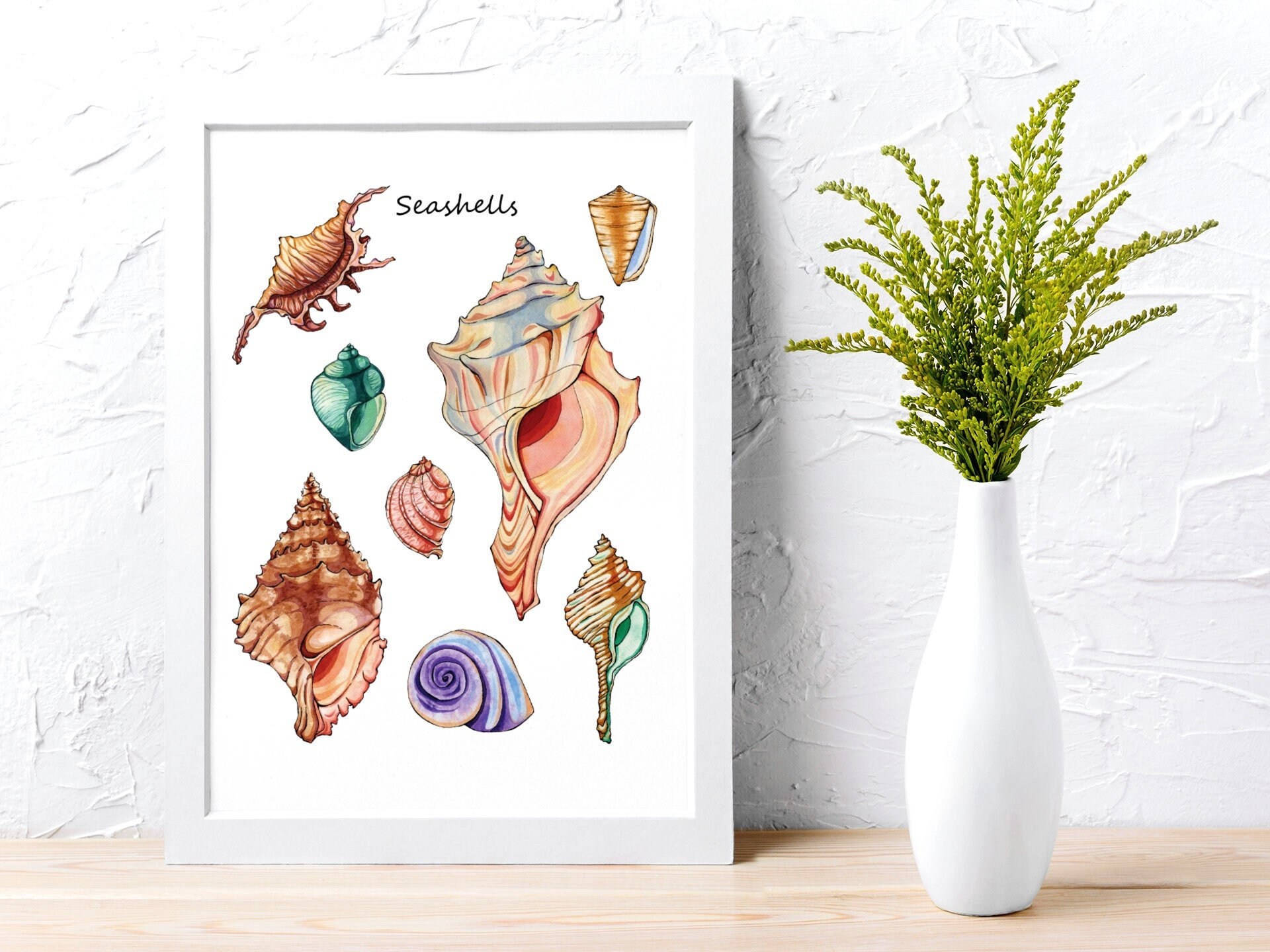 Watercolor Seashell Print, Conch Shell Art, Beachcomber Art, Beach ...