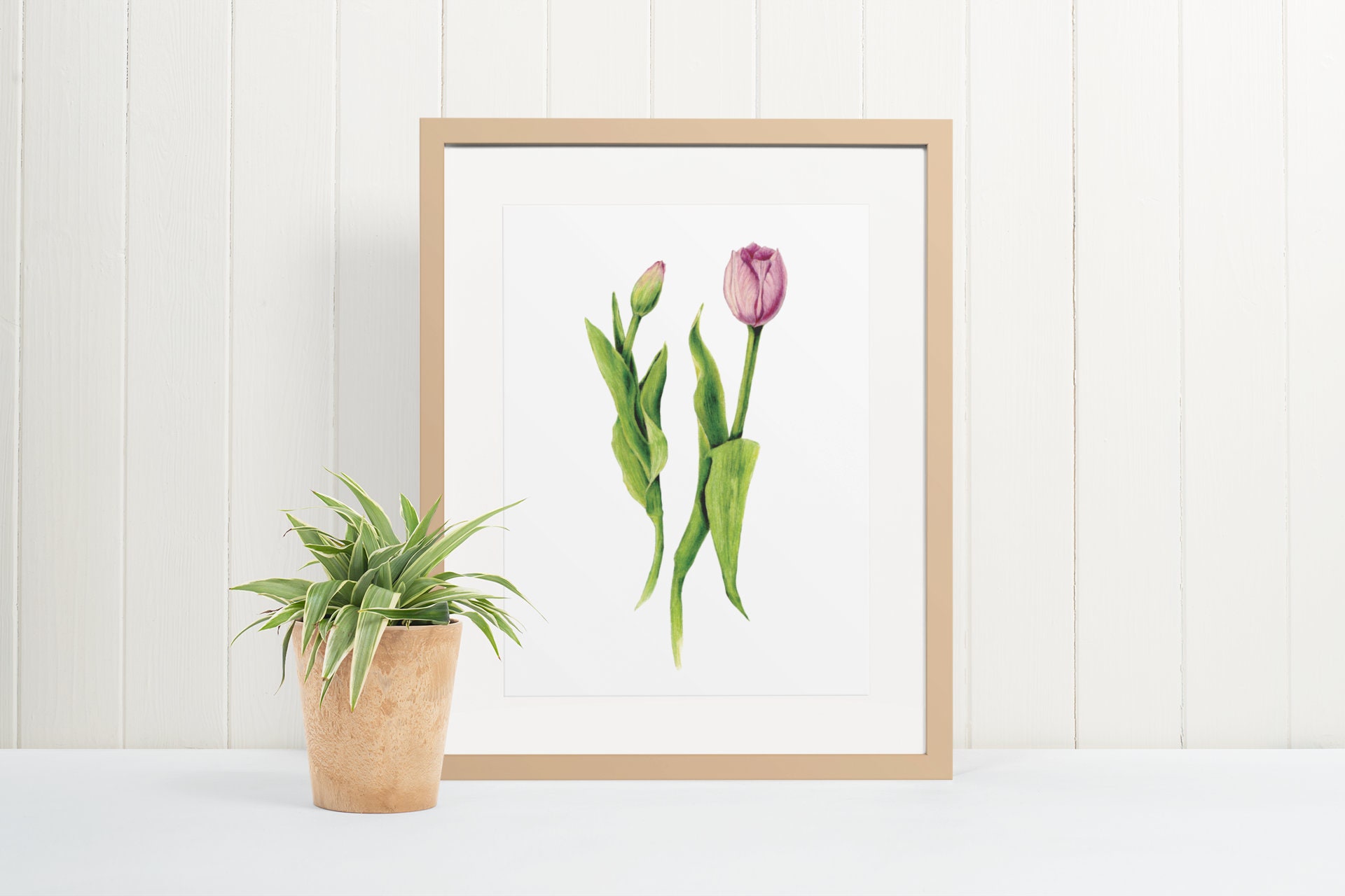 Art Print, Pink Tulips, Floral, Botanic Art, Watercolor Print, New ...