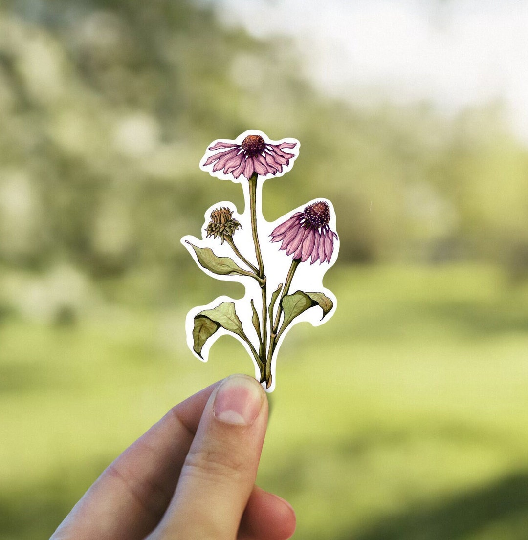 Coneflower Vinyl Sticker, Cottage Core Stickers for Laptop, Plant Mom ...
