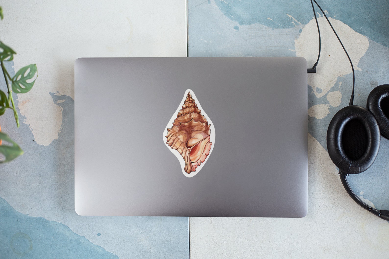 Seashell Art Vinyl Sticker Waterproof Sticker for Laptop - Etsy