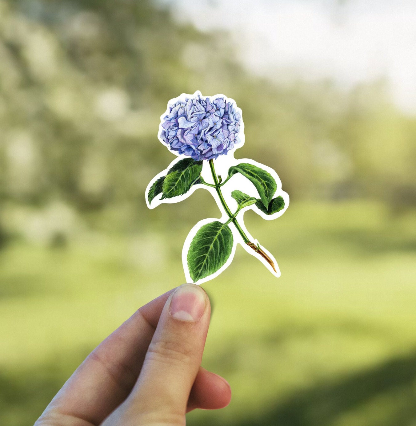 Blue Hydrangea Vinyl Sticker, Cottage Core Stickers for Laptop, Plant ...