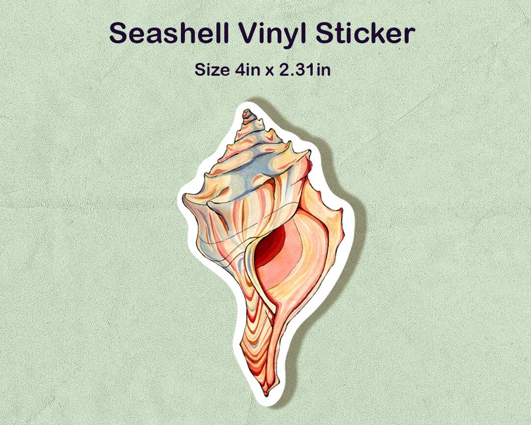 Seashell Art Vinyl Sticker, Waterproof Sticker, for Laptop, Beachcomb ...