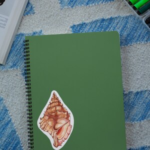 Seashell Art Vinyl Sticker Pack Set of 3, Waterproof Sticker, for ...