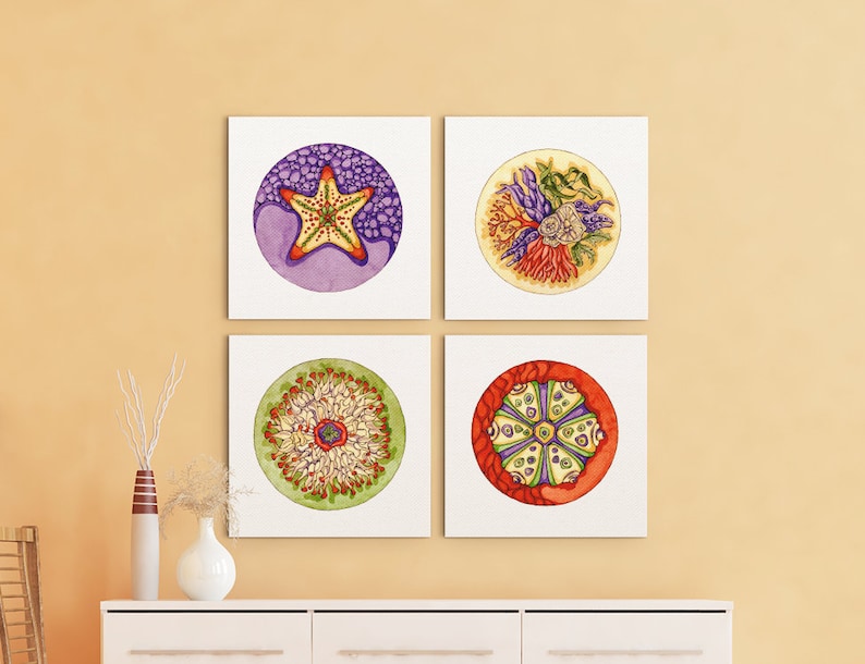 Art Print, Starfish, Marine Life, Ocean Life, Sea Creature, Watercolor ...