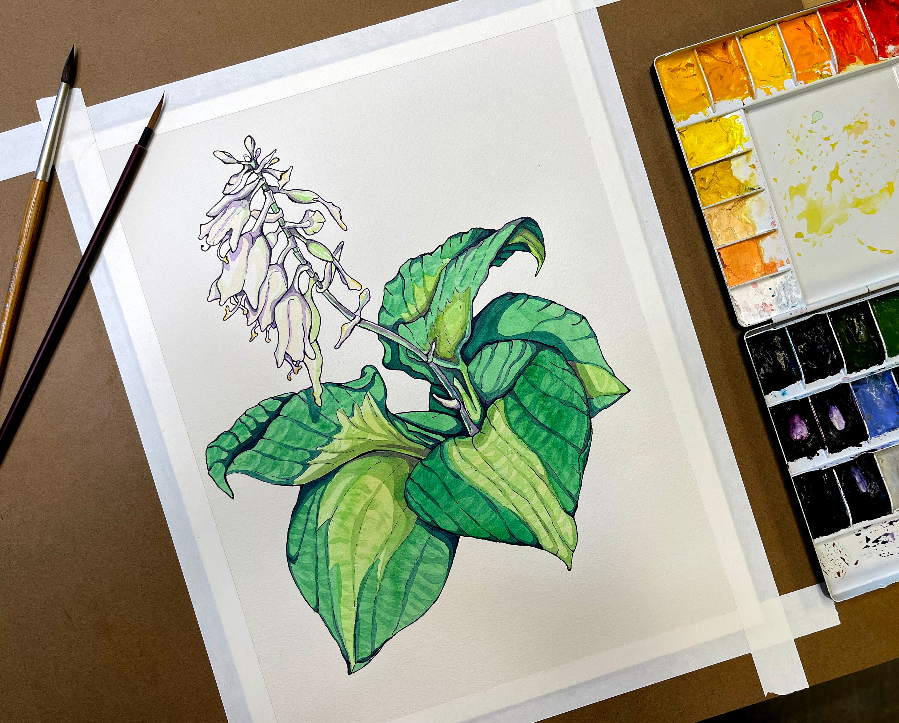 White Hosta Vinyl Sticker, Cottage Core Stickers for Laptop, Plant Mom ...