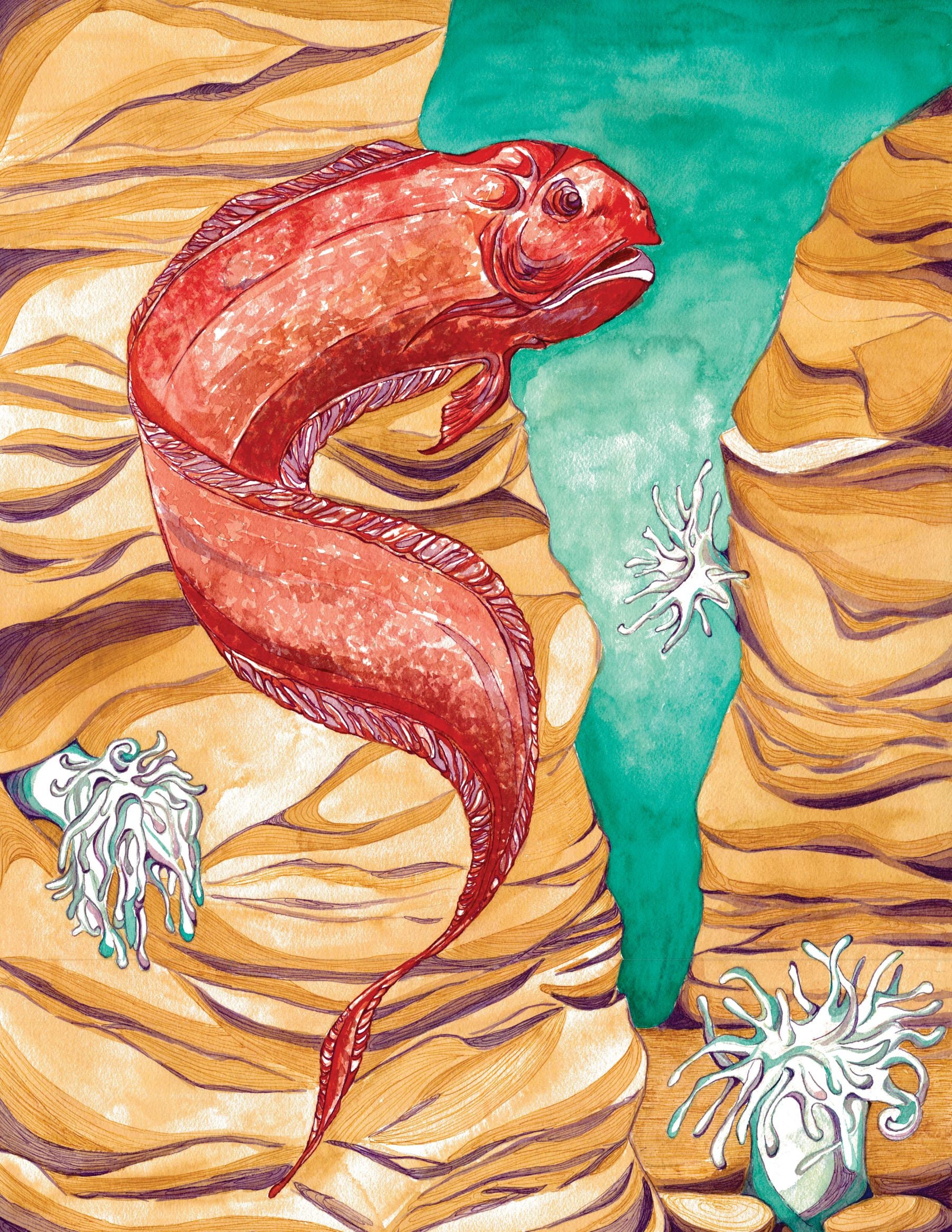 Art Print, Snakehead Fish, Marine Life, Ocean Life, Sea Creature ...