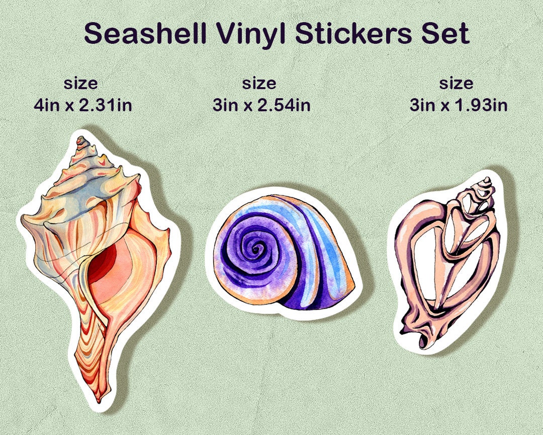 Seashell Art Vinyl Sticker Pack Set of 3, Waterproof Sticker, for ...