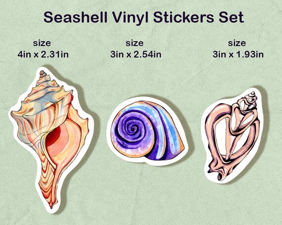 Seashell Art Vinyl Sticker Pack Set of 3 Waterproof Sticker - Etsy