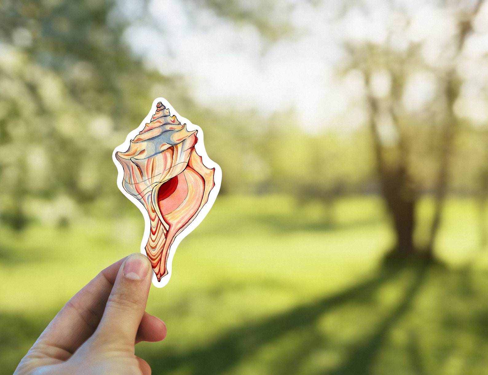 Seashell Art Vinyl Sticker Waterproof Sticker for Laptop - Etsy