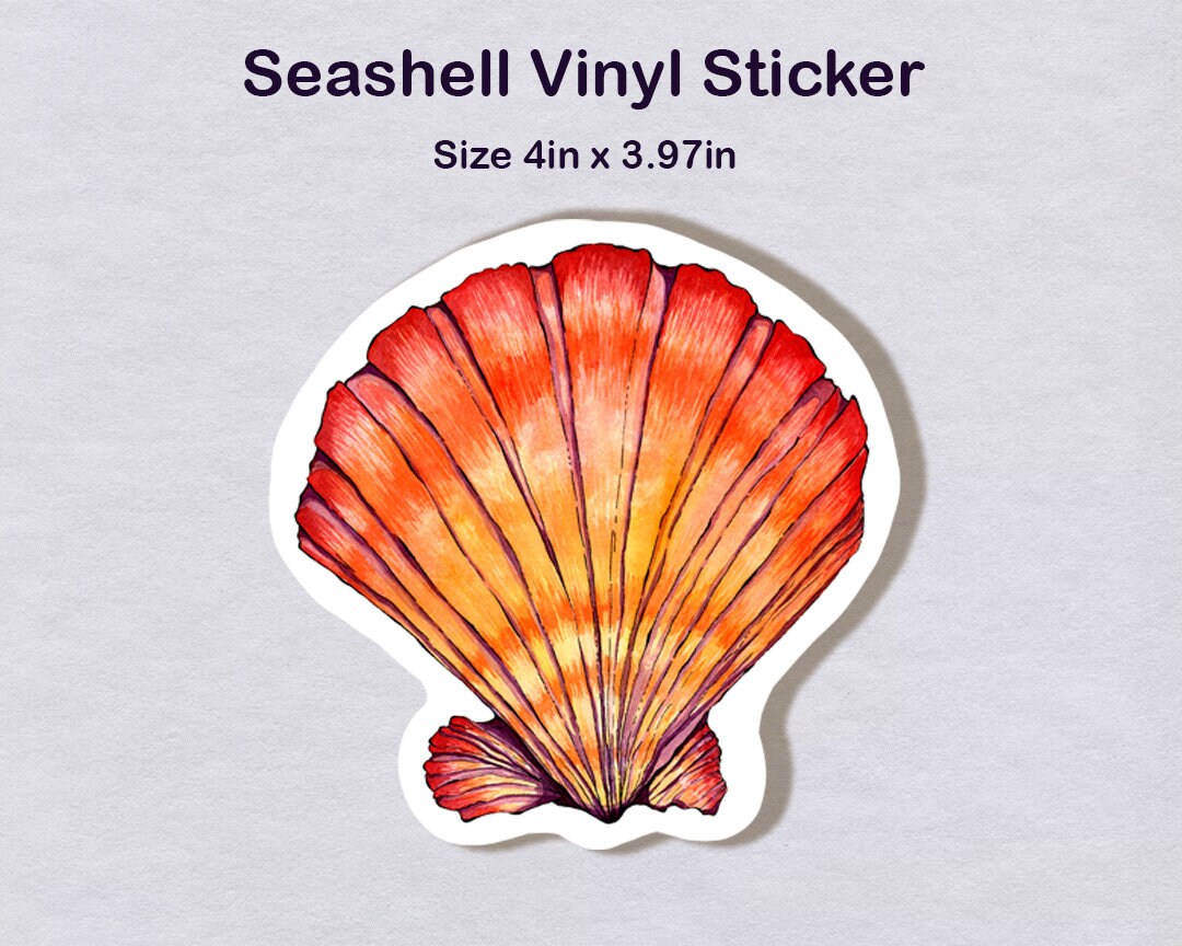 Seashell Art Vinyl Sticker, Waterproof Sticker, for Laptop, Beachcomb ...