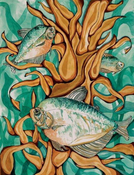 Art Print Tetra Fish Marine Life Ocean Life Sea Creature - Etsy