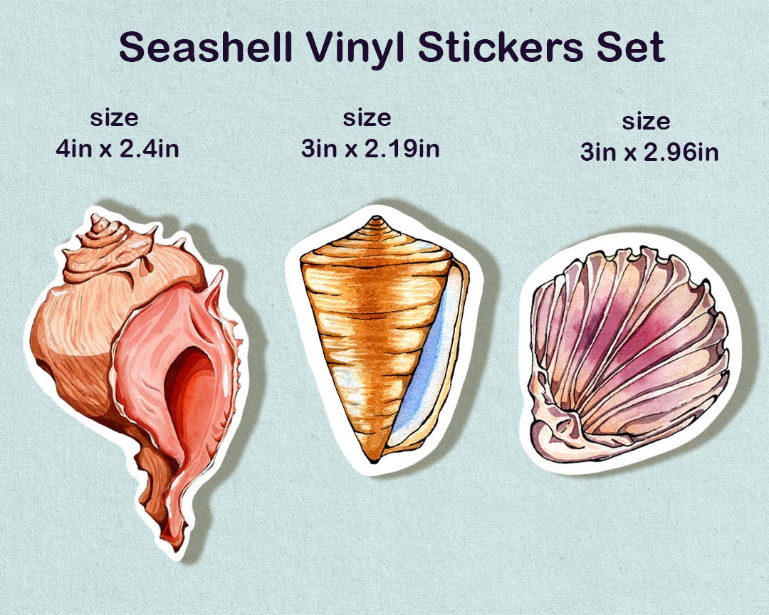 Seashell Art Vinyl Sticker Pack Set of 3, Waterproof Sticker, for ...