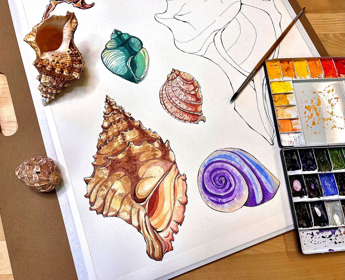 Seashell Art Vinyl Sticker, Waterproof Sticker, for Laptop, Beachcomb ...