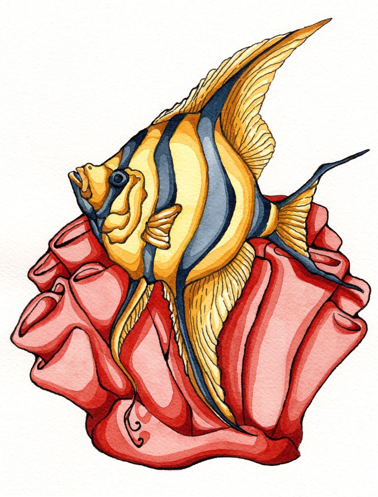 Angelfish Illustration Print, Tropical Fish Artwork, Undersea Poster ...