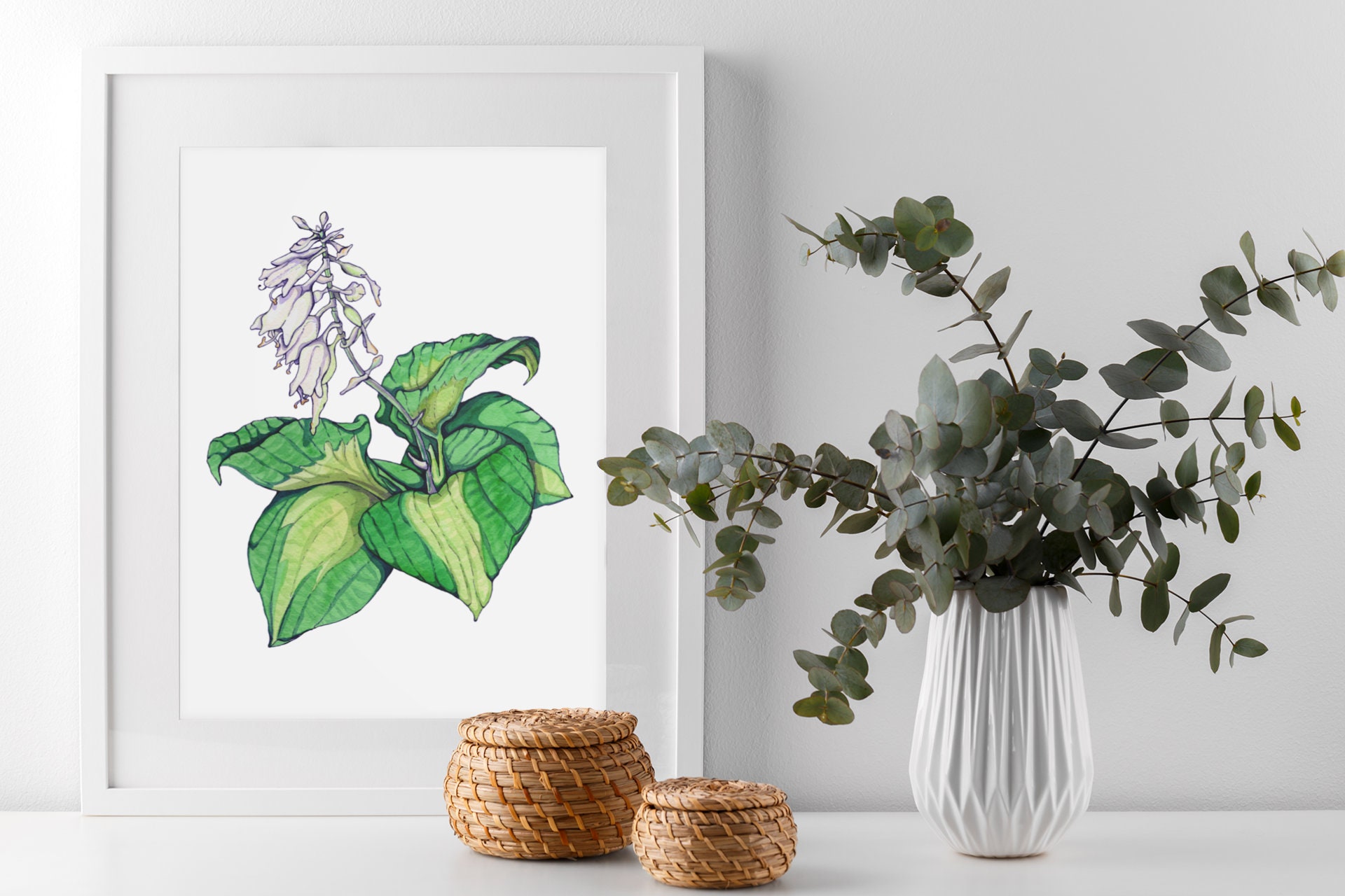 Art Print, White Hosta, Floral, Botanic Art, Watercolor Print, New ...