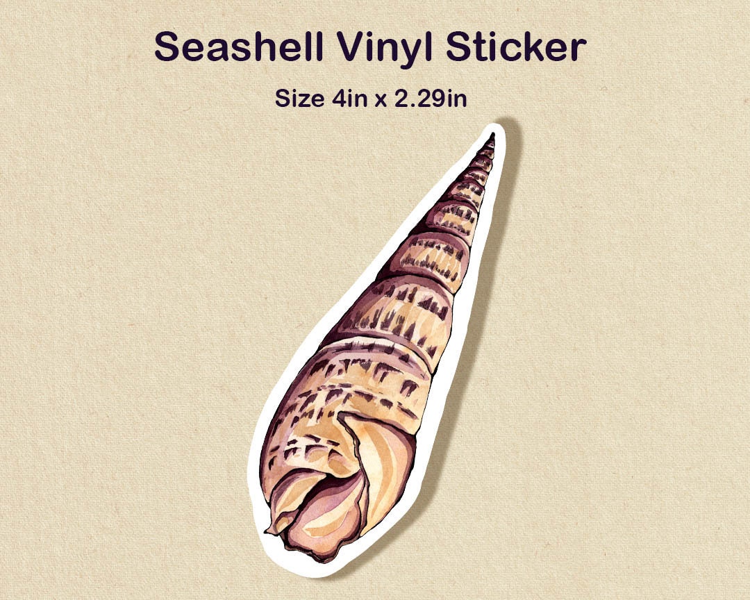Seashell Art Vinyl Sticker, Waterproof Sticker, for Laptop, Beachcomb ...