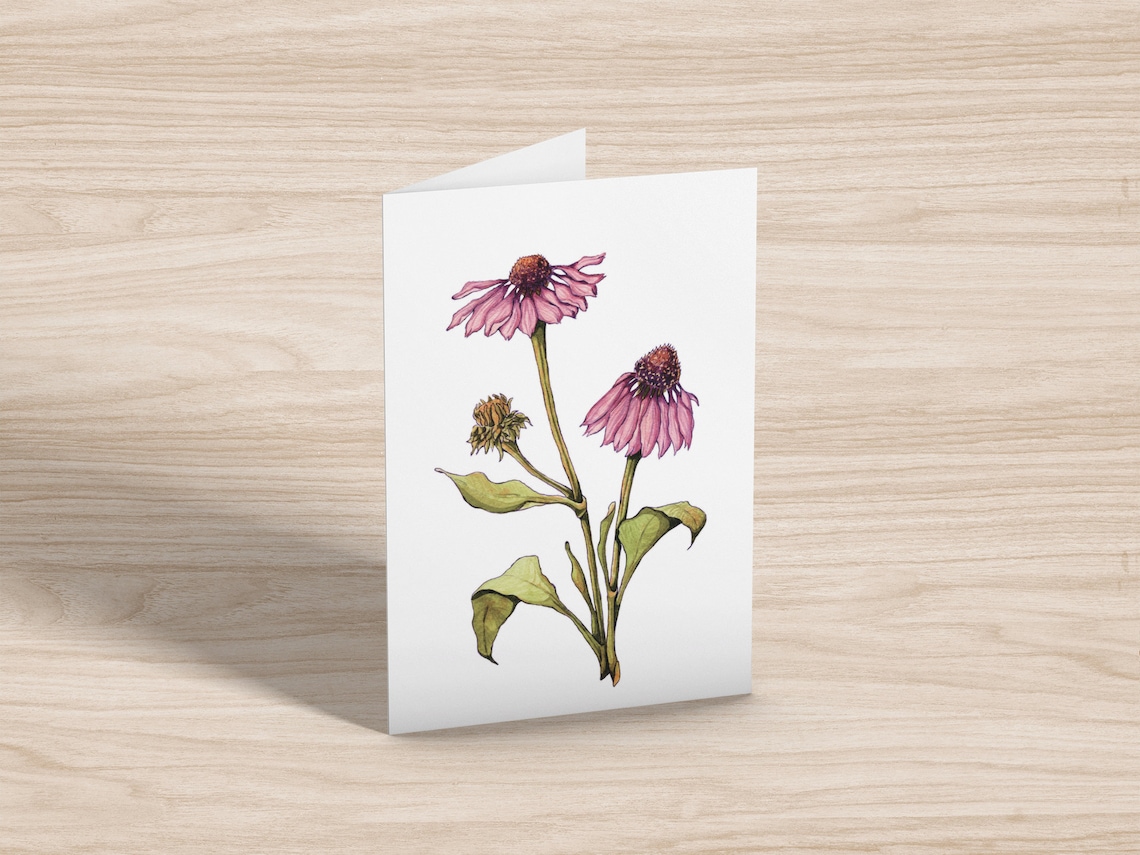 Watercolor Flower Greeting Card, Botanical Birthday Cards for Her ...