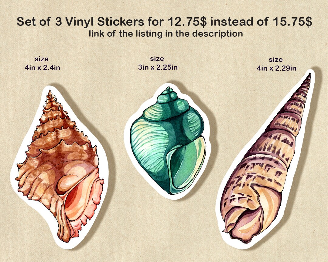 Seashell Art Vinyl Sticker Waterproof Sticker for Laptop - Etsy