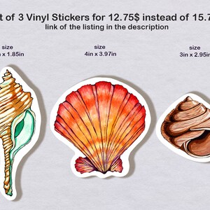 Seashell Art Vinyl Sticker, Waterproof Sticker, for Laptop, Beachcomb ...
