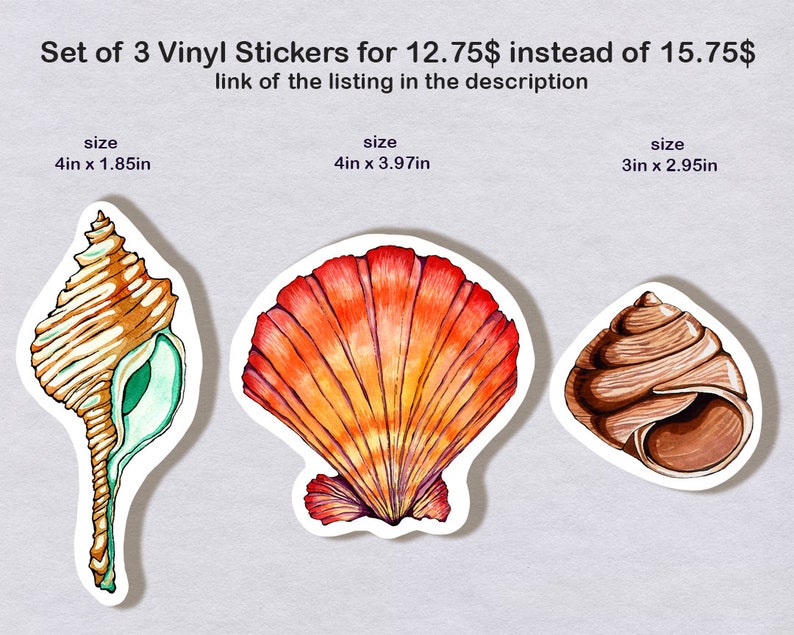 Seashell Art Vinyl Sticker Waterproof Sticker for Laptop - Etsy
