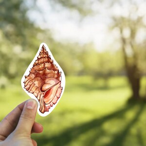Seashell Art Vinyl Sticker, Waterproof Sticker, for Laptop, Beachcomb ...