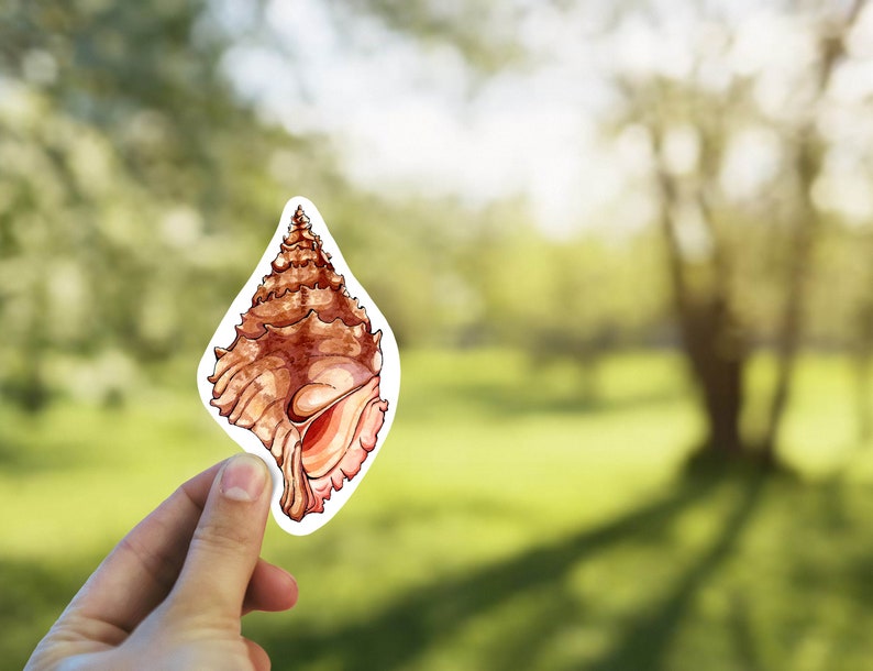 Seashell Art Vinyl Sticker Waterproof Sticker for Laptop - Etsy