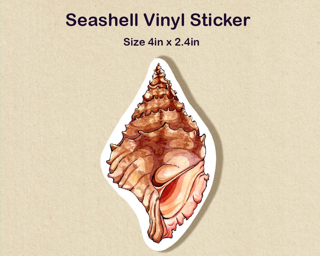 Seashell Art Vinyl Sticker, Waterproof Sticker, for Laptop, Beachcomb ...