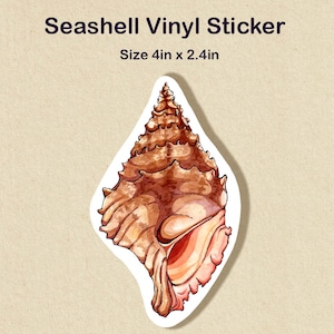 Seashell Art Vinyl Sticker, Waterproof Sticker, for Laptop, Beachcomb ...