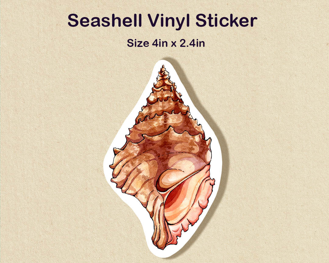 Seashell Art Vinyl Sticker Waterproof Sticker for Laptop - Etsy
