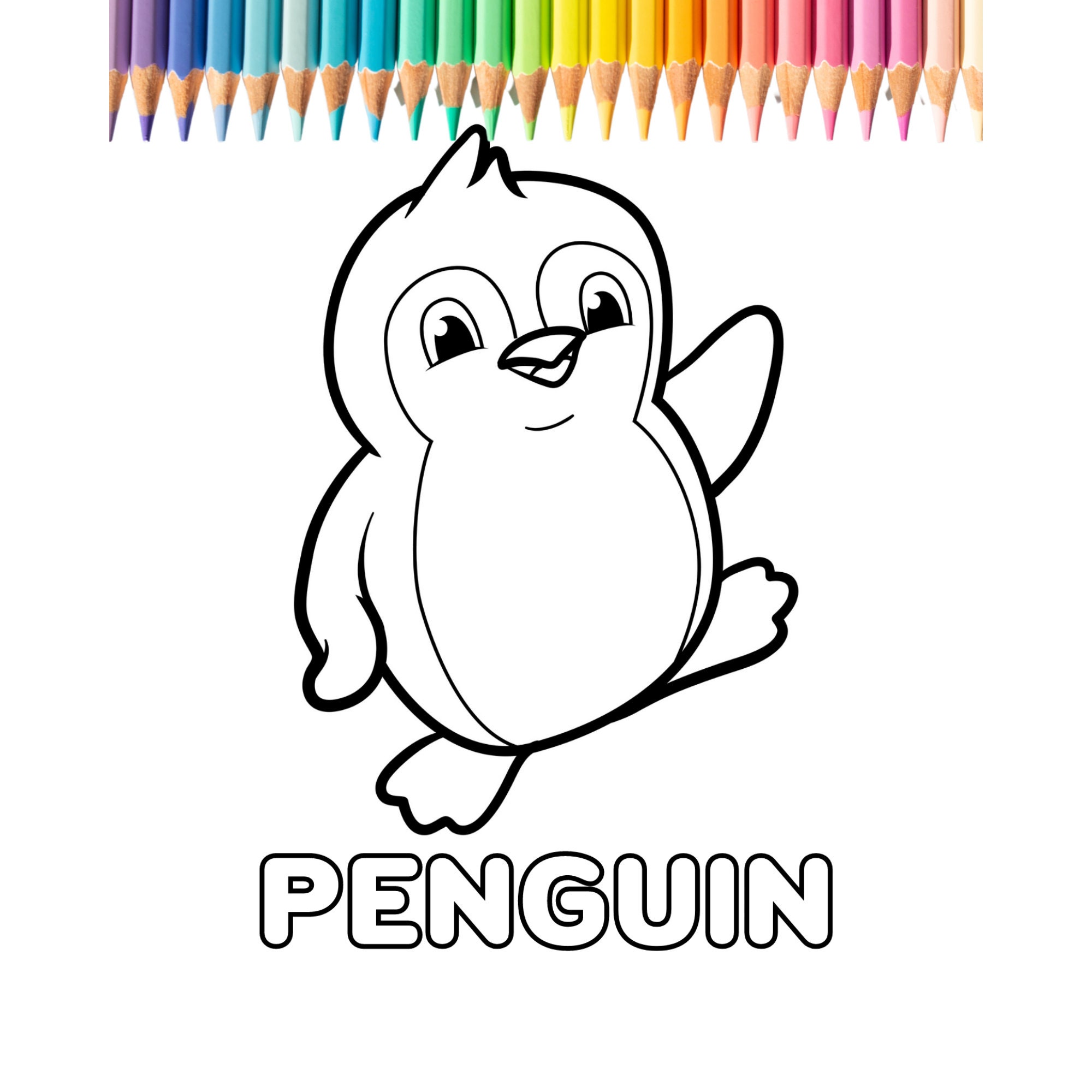 Animal Coloring Pack for Pre-schoolers - Etsy