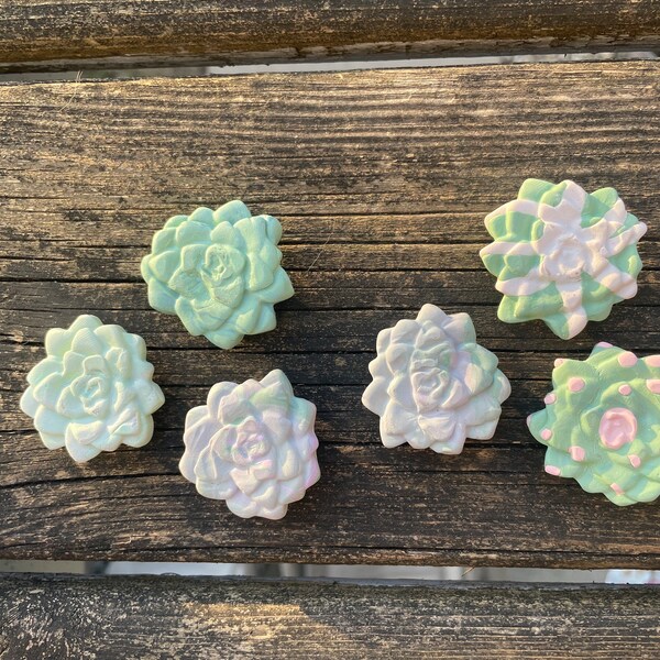 Succulent Magnet - Etsy