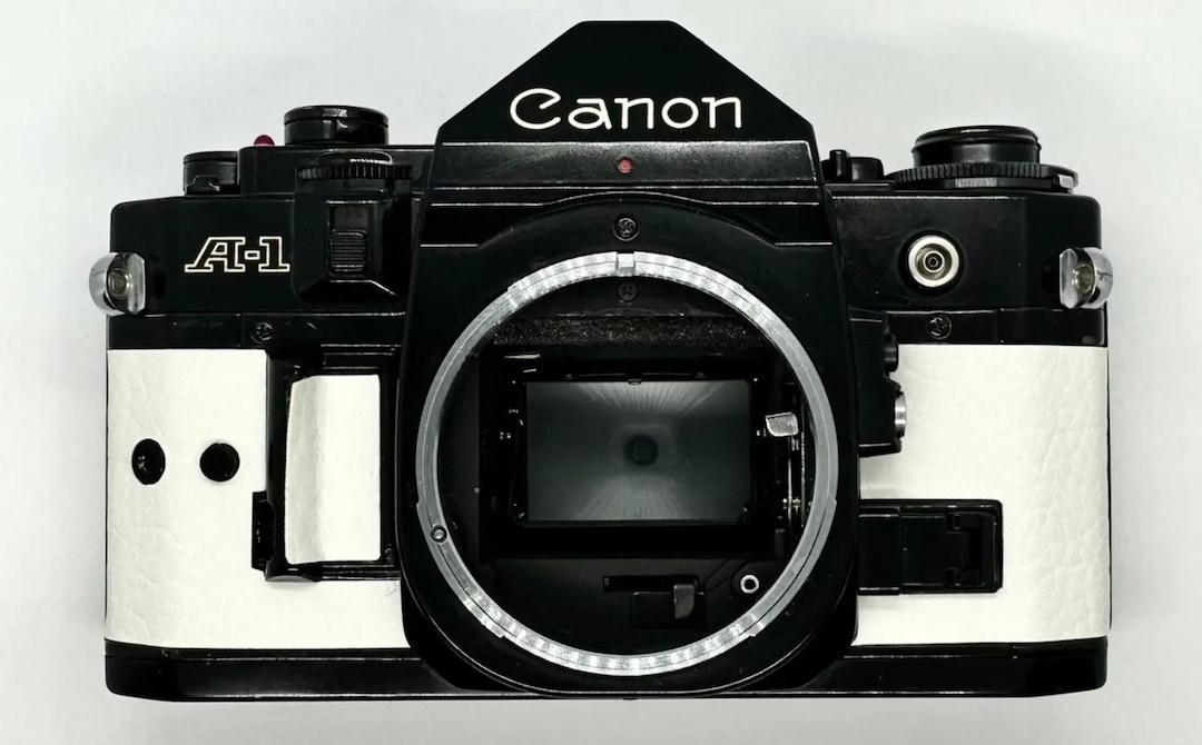 Replacement Leatherette Leather Cover Skin for Canon A-series Cameras ...