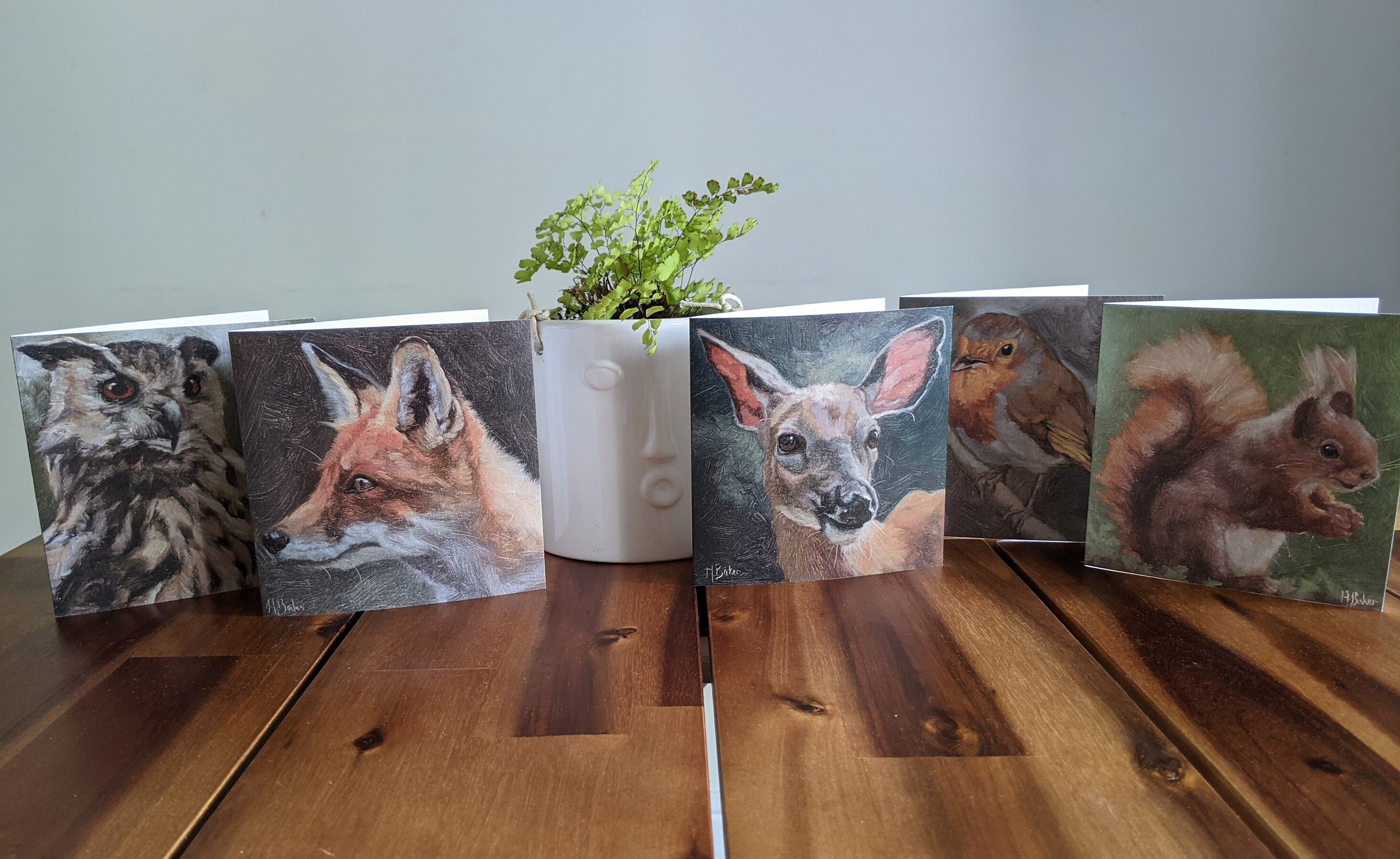 Set of 5 Greeting Cards Blank Inside 5x5in Original | Etsy