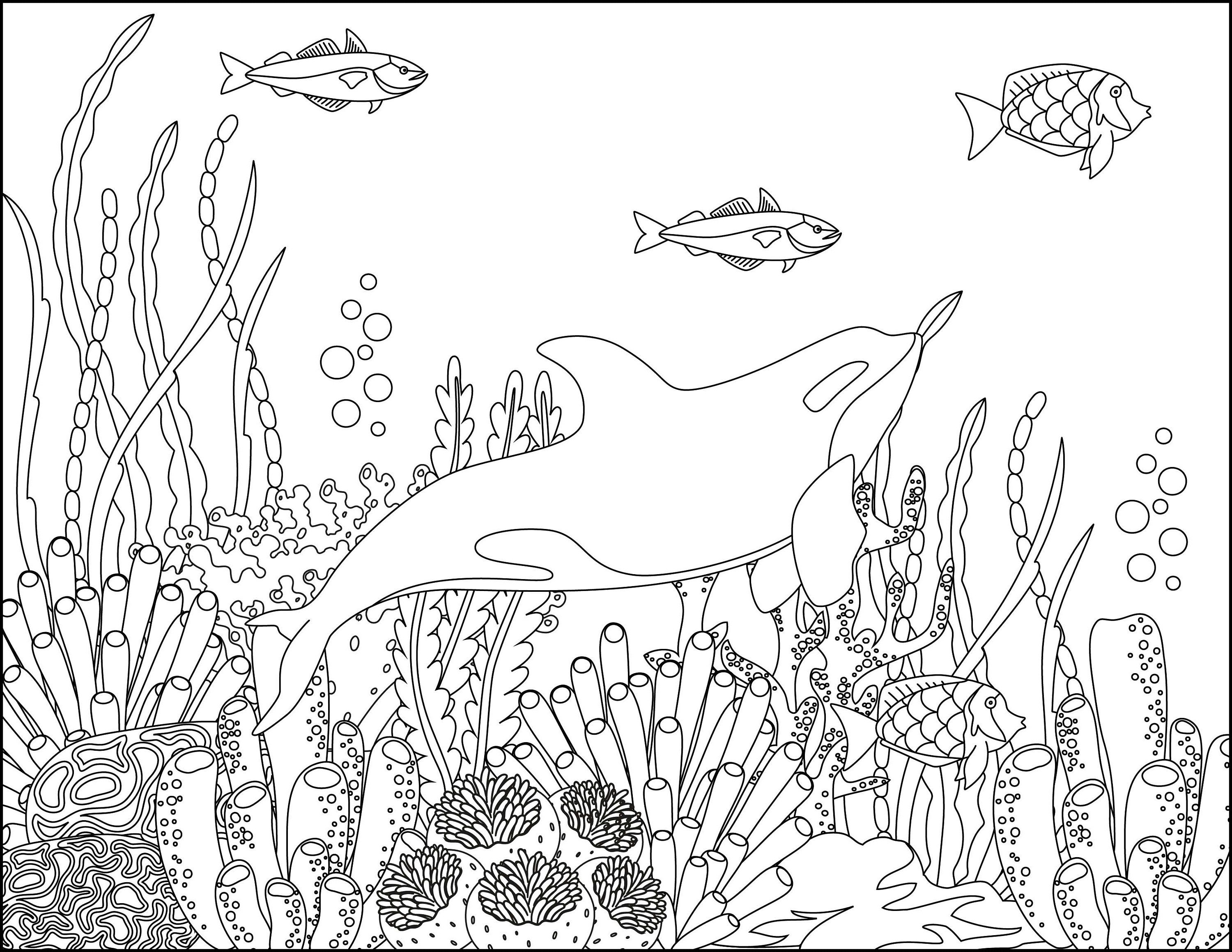 20 Ocean Coloring Pages - Etsy