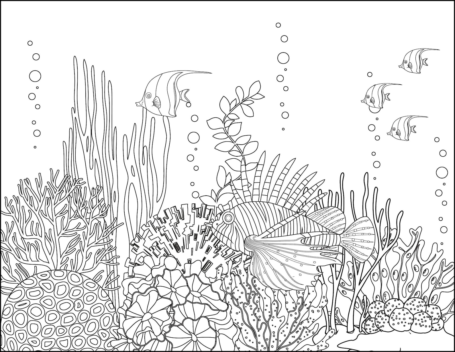 20 Ocean Coloring Pages - Etsy