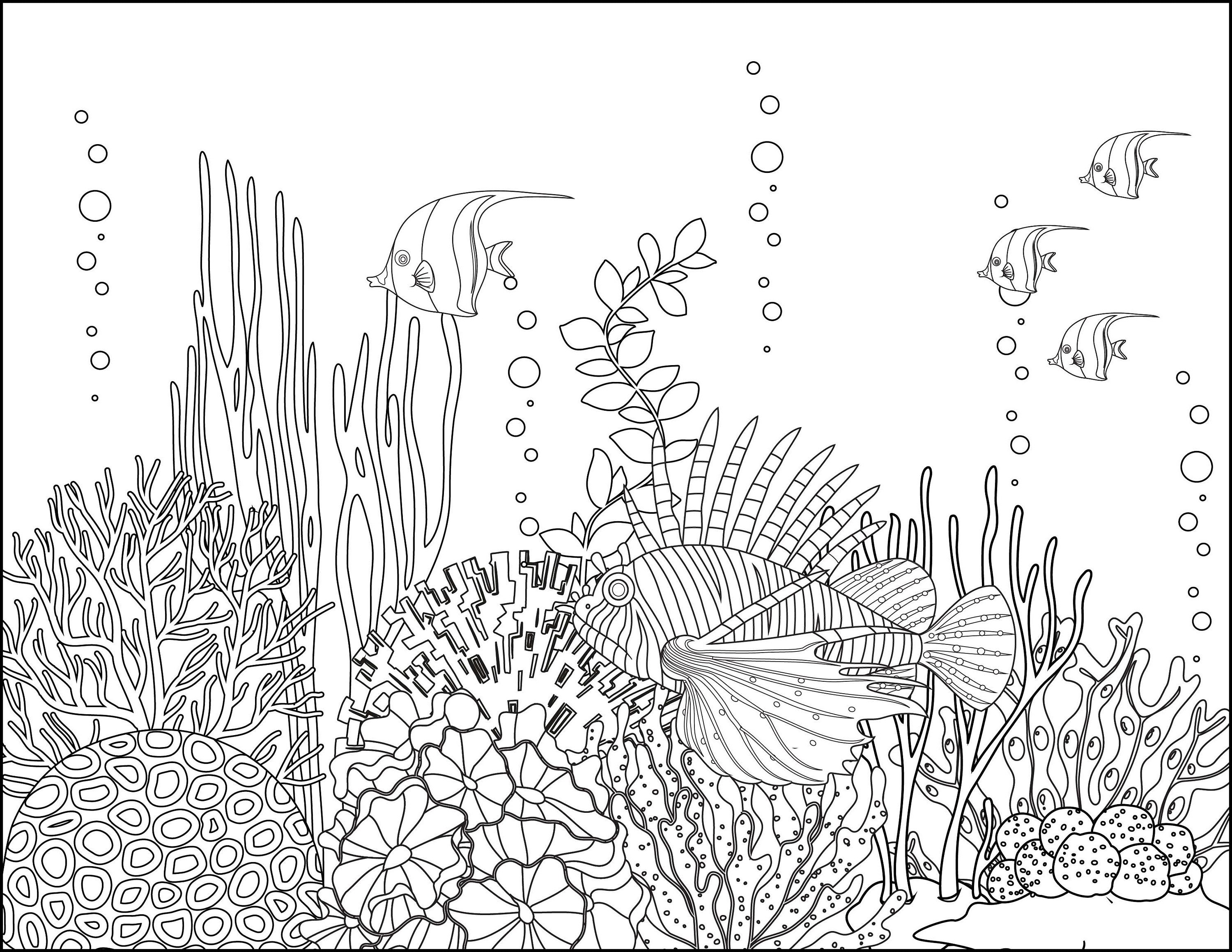 20 Ocean Coloring Pages - Etsy