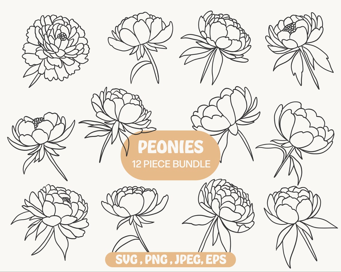 Peonies SVG Bundle Peony Png, Botanical Svg, Flower Png, Peonies ...