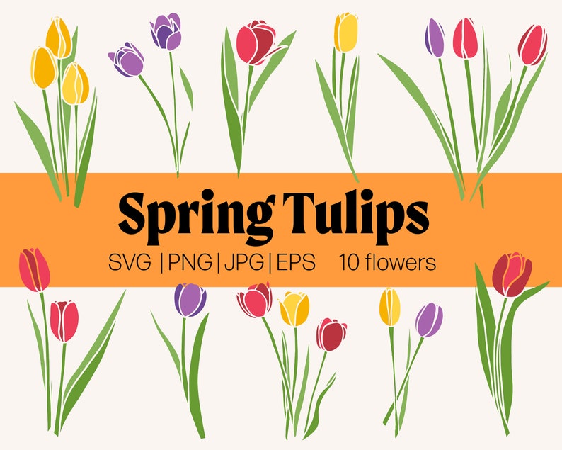 Spring Tulips SVG Bundle | Tulip Svg, Spring Flowers Svg, Floral Svg ...