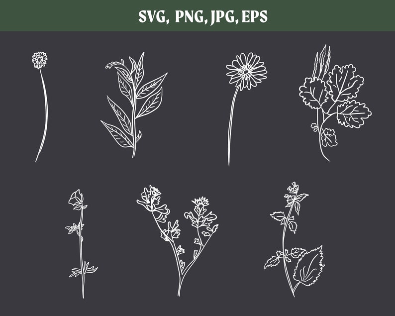 Wildflower SVG Bundle Flower Svg, Floral Svg, Wildflower Png, Wild ...