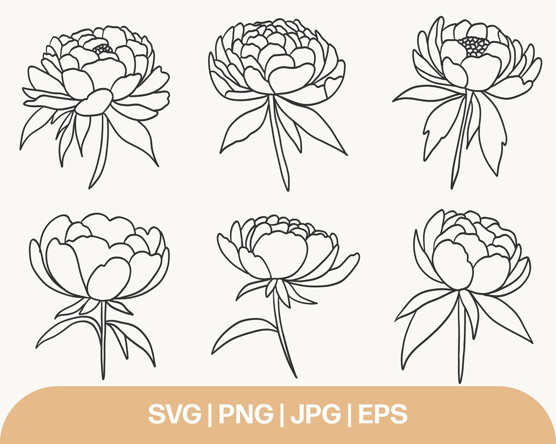 Peonies SVG Bundle Peony Png, Botanical Svg, Flower Png, Peonies ...