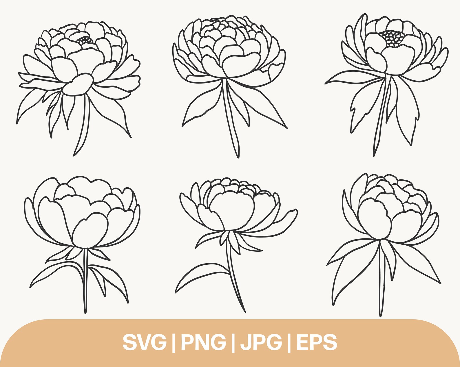 Peonies SVG Bundle Peony Png, Botanical Svg, Flower Png, Peonies ...