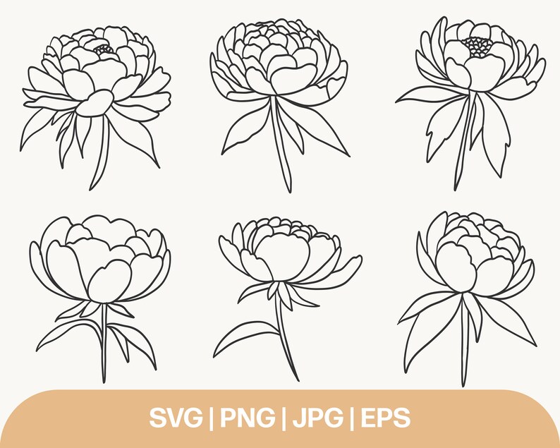 Peonies SVG Bundle | Peony Png, Botanical Svg, Flower Png, Peonies ...