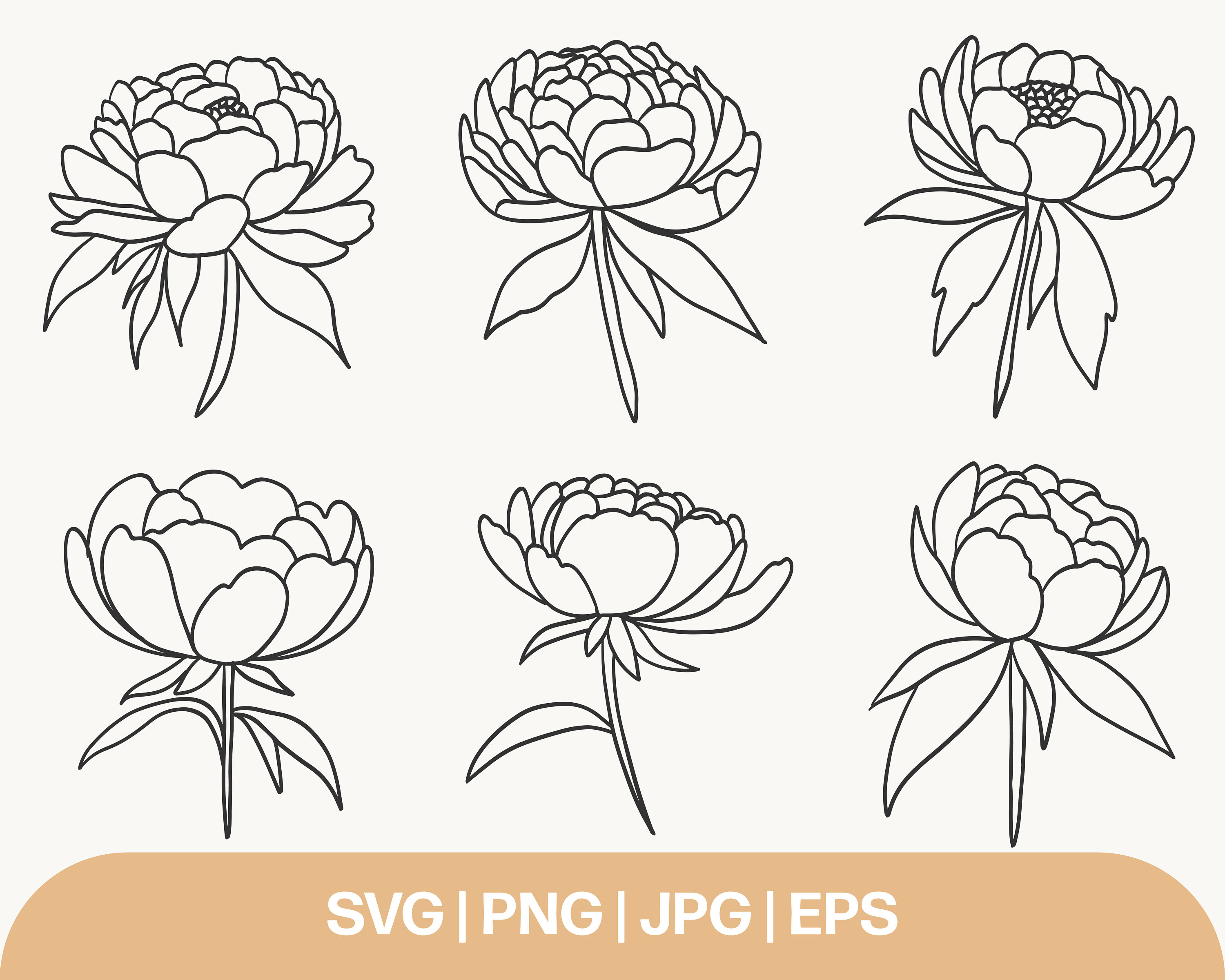 Peonies SVG Bundle Peony Png, Botanical Svg, Flower Png, Peonies ...