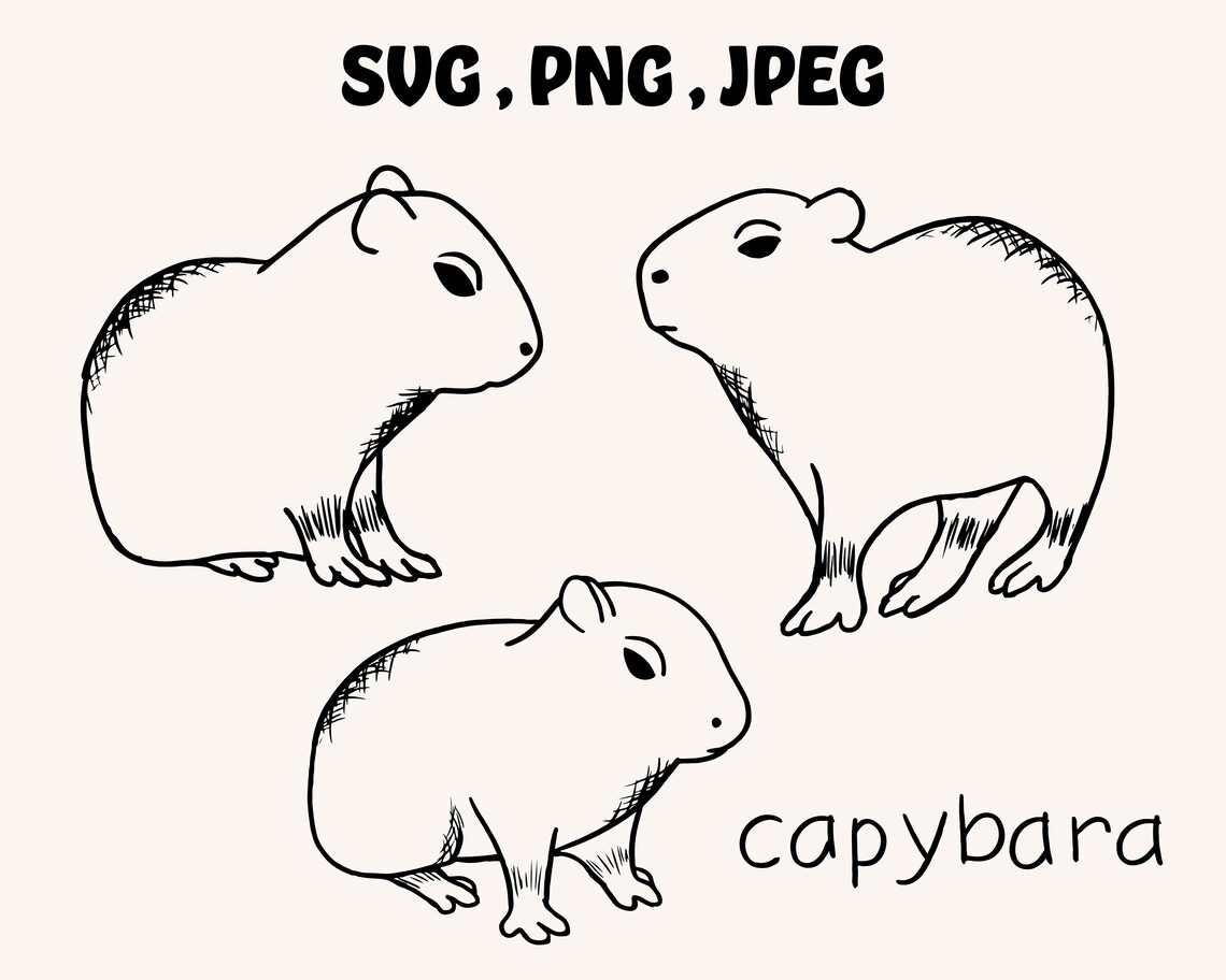 Capybara SVG Bundle Hand-drawn Capybara Designs Perfect for Capybara ...