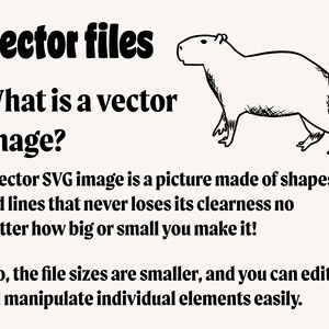 Capybara SVG Bundle | Hand-drawn Capybara Designs Perfect for Capybara ...